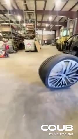 Around The World - Coub