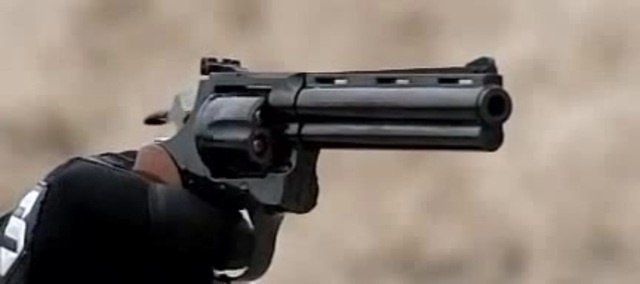 08Dec105 - Colt Python 6 close shots slow motion - Coub