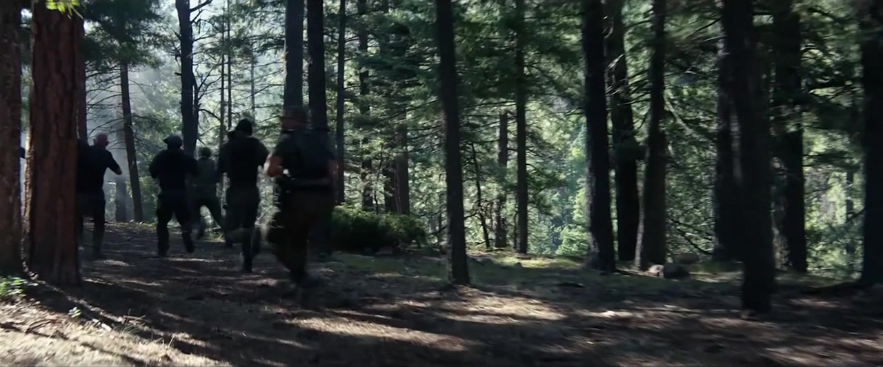 Wolverine's Berserker Rage / Forest Fight - Coub