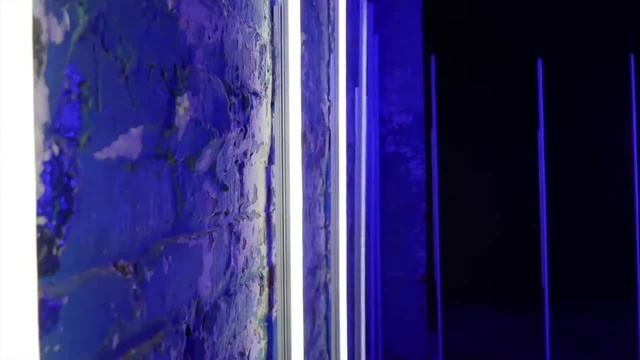 YOU SEE THE LIGHT - Coub