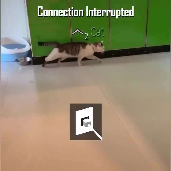 connection interrupted - Coub