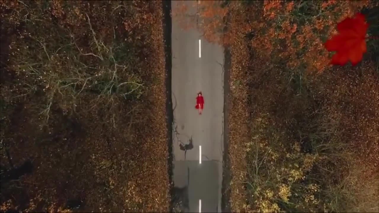 The dream of a single autumn leaf - Coub