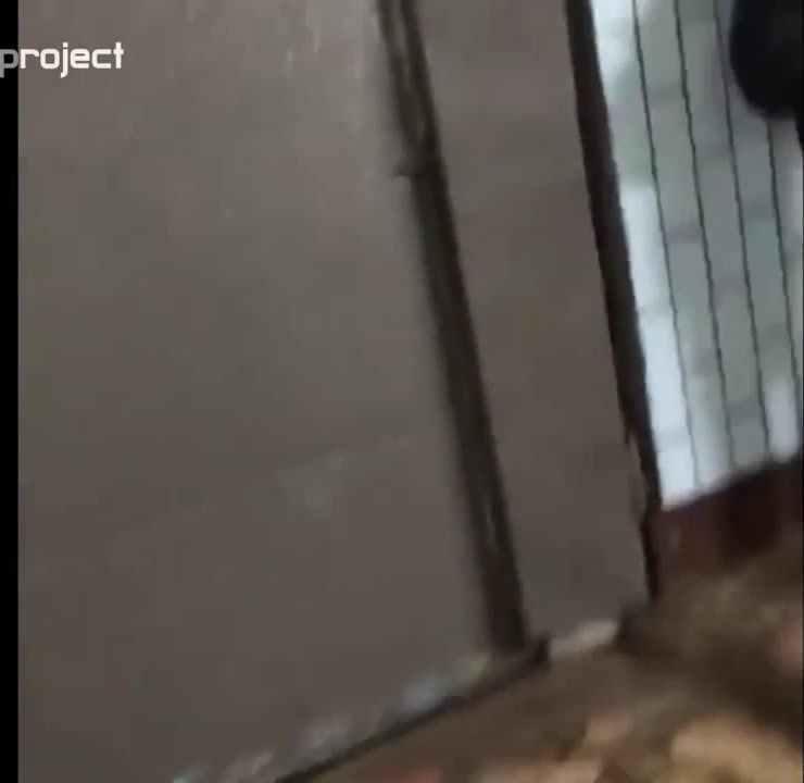 Dank WebM Compilation #3 - Coub