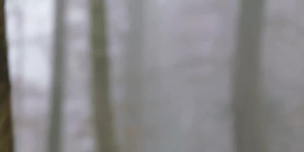 Jagten / The Hunt Ending Scene - Coub