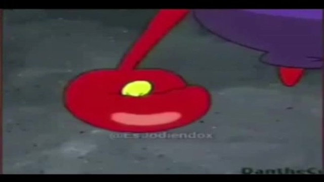 sponga - Coub