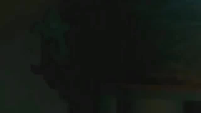 I'm Bolted To The Wall! - Coub