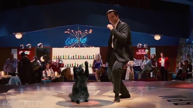 Pulp Fiction with a Cat - Coub