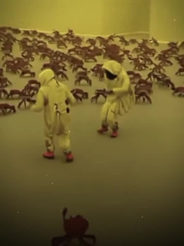 dancing crabs - Coub