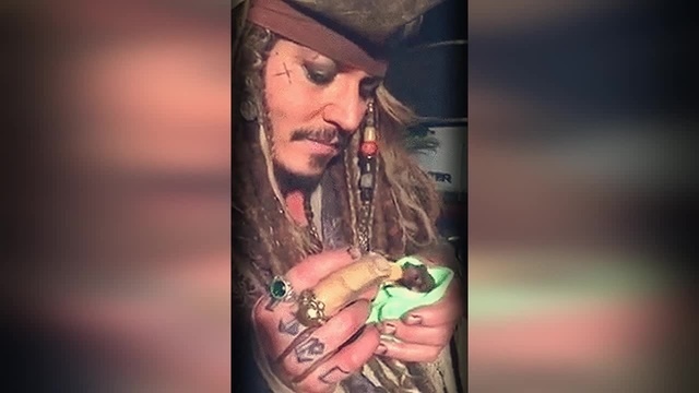 𝔗𝔬𝔬 𝔠𝔲𝔱𝔢! - Coub