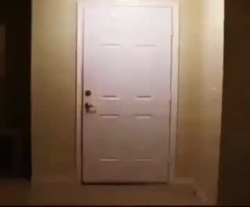 Big Bird kicks down a fucking door - Coub