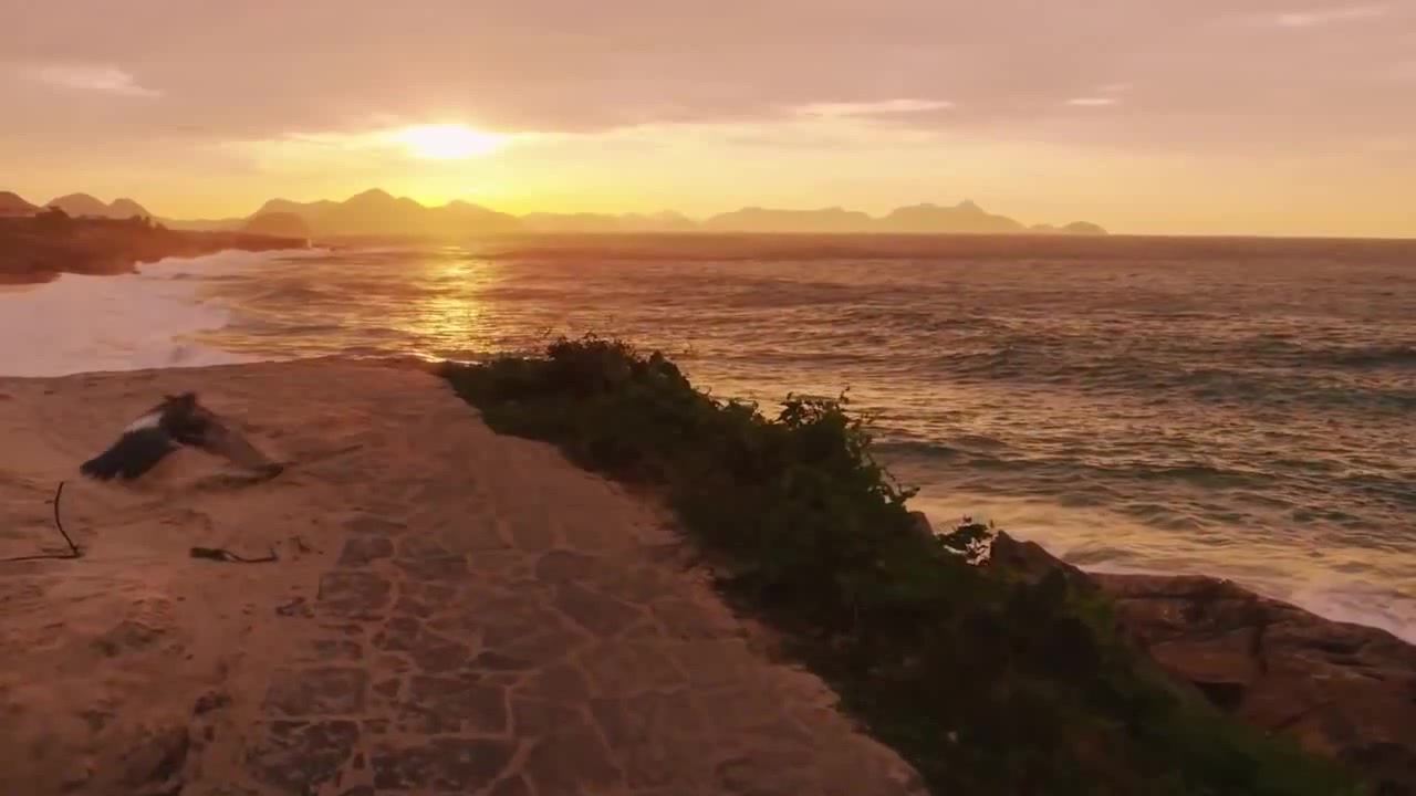Sunset on the beach - Coub