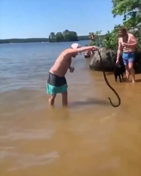 How I solve problems - Coub