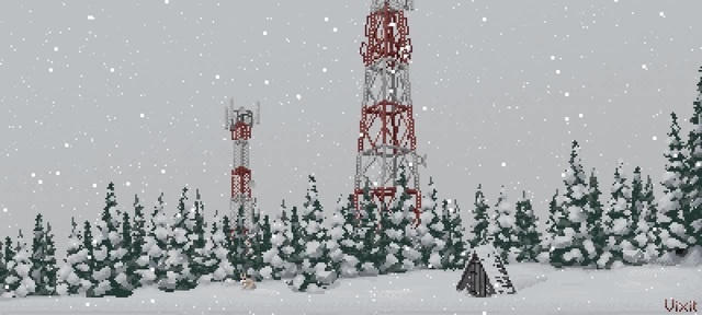 Winter forest - Coub