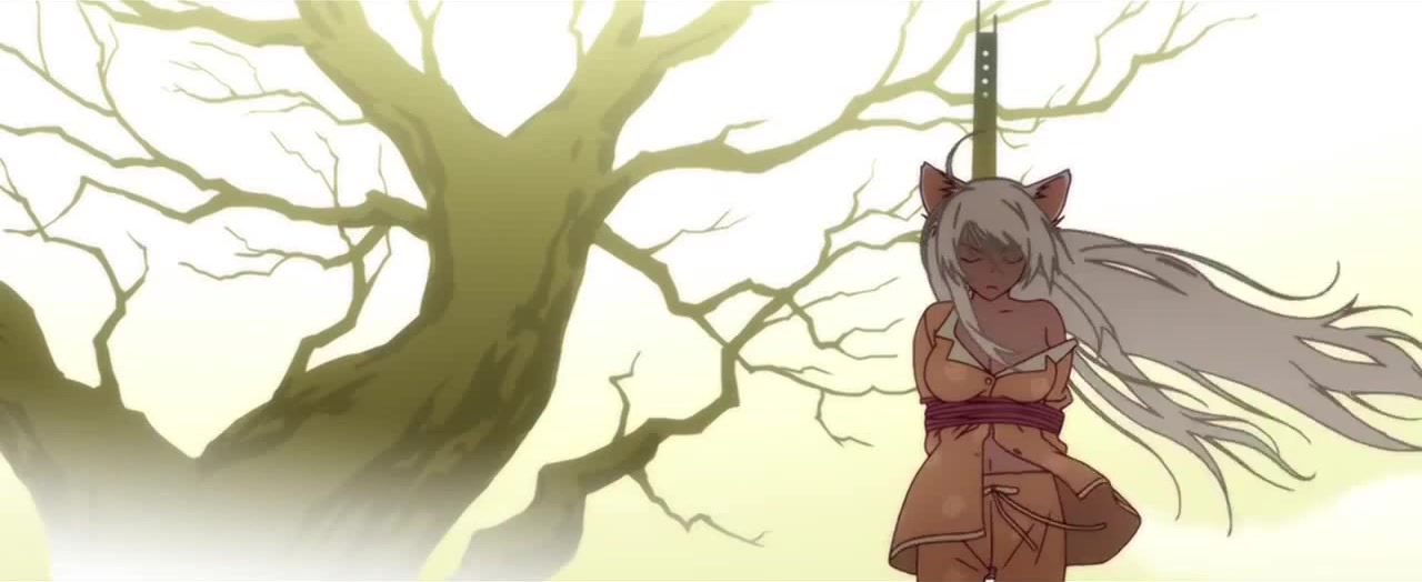 The Monogatari Series - Coub