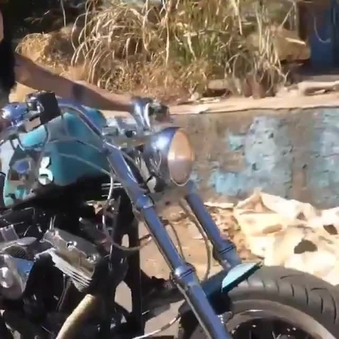 Maidens of Madness Motorcycle Gang Florida - Coub