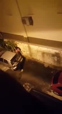 Surprise bitches - Coub