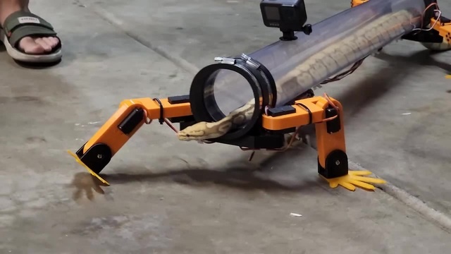 giving snakes there legs back. - Coub