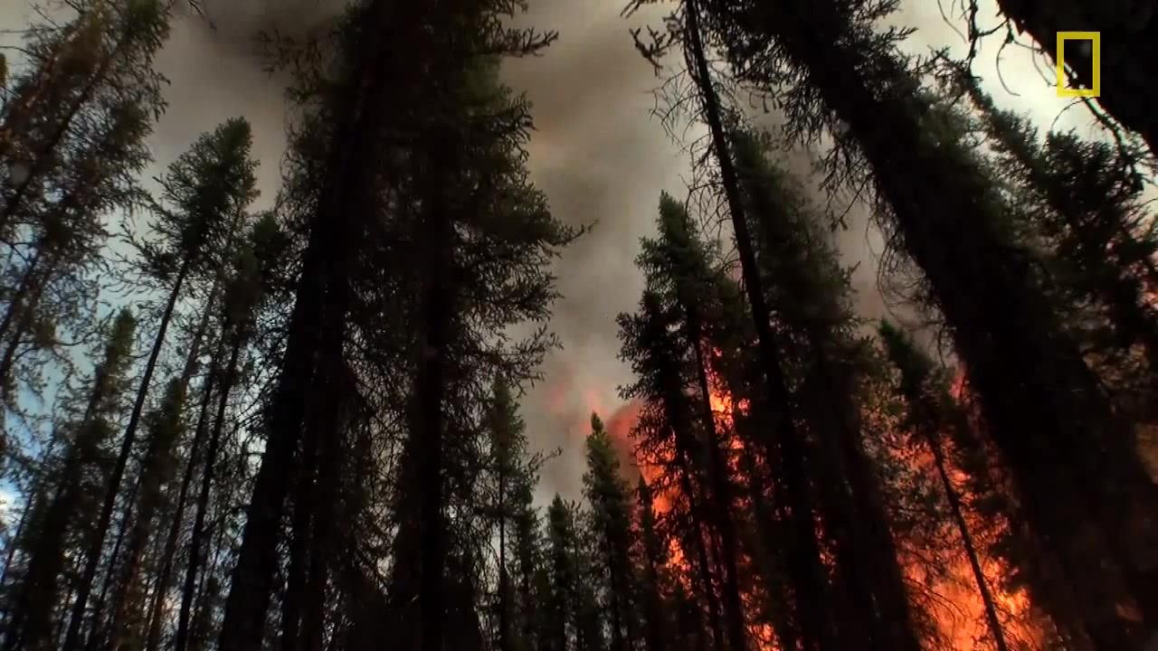 Surrounded by Fire - Coub