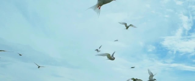 𝓽𝓱𝓮 𝔀𝓪𝔂 𝔂𝓸𝓾 𝓶𝓪𝓴𝓮 𝓶𝓮 𝓯𝓮𝓮𝓵 - Coub