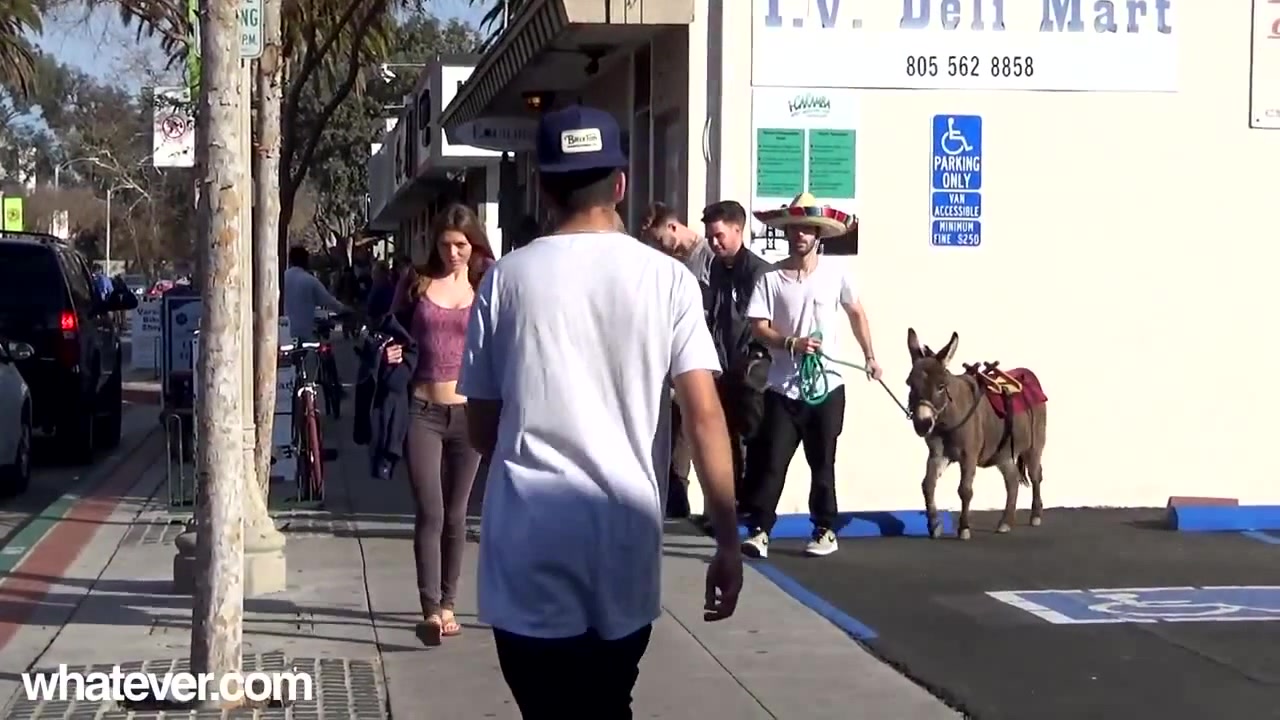 Can I grab your Ass? - Coub