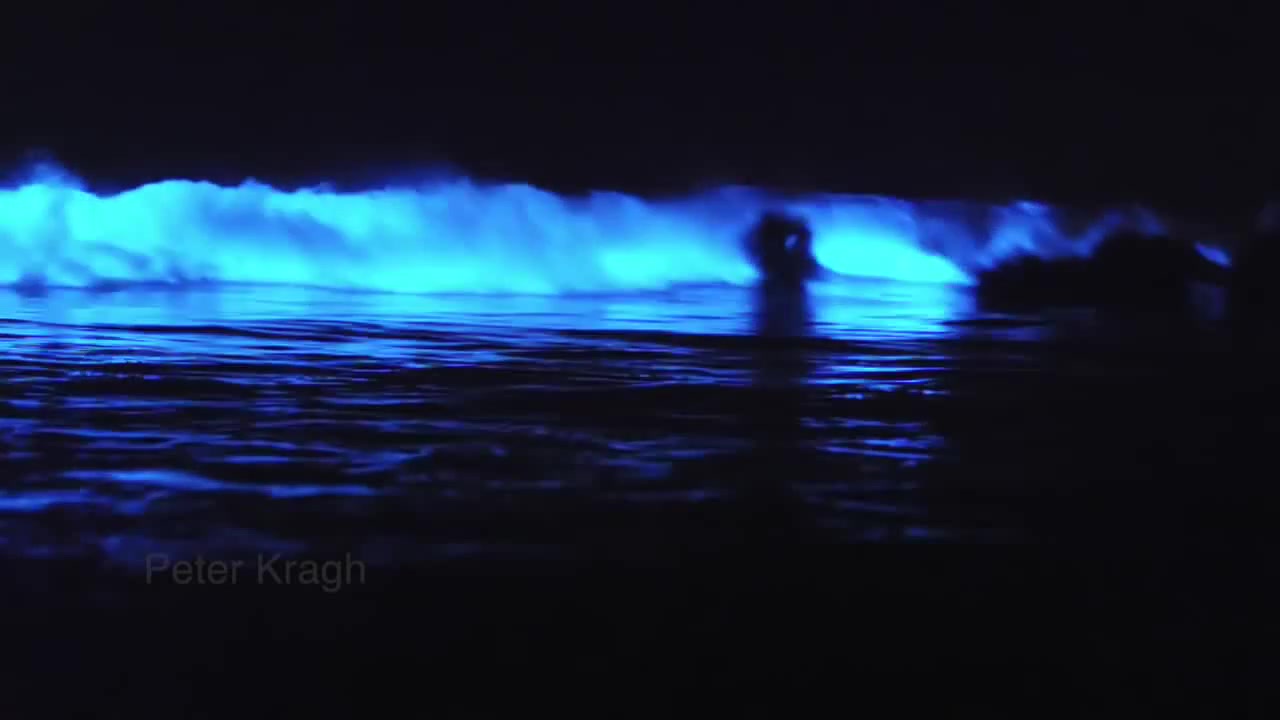 Play with bioluminescent waves - Coub