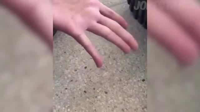 Hidden talents - Coub