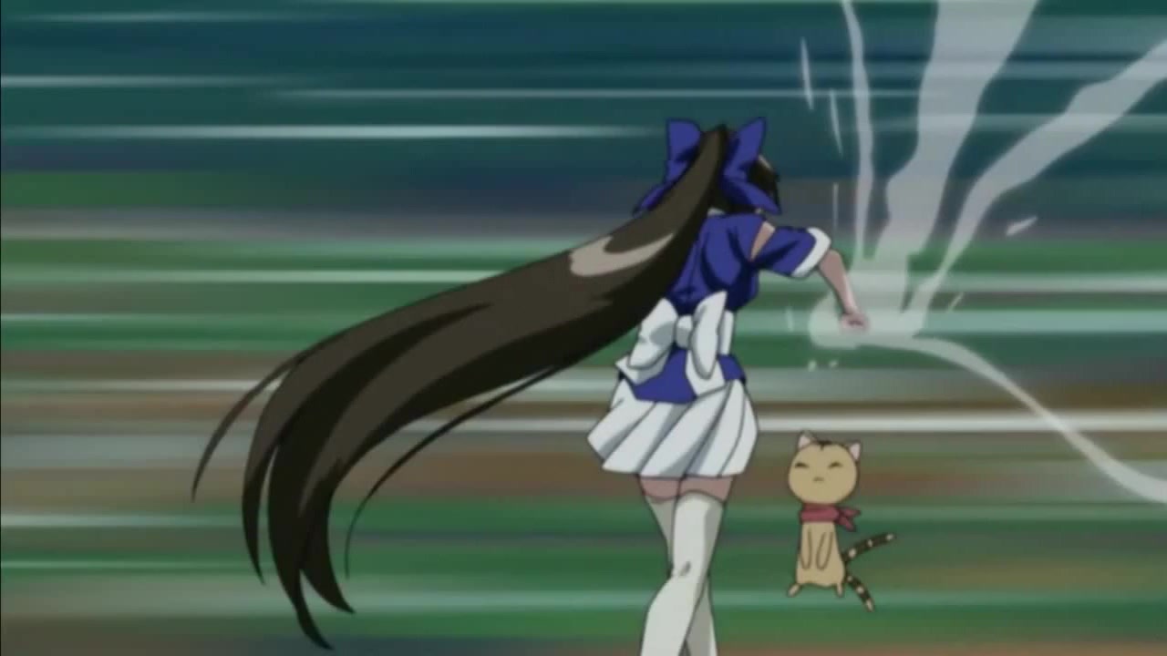 Neko Fight - Coub