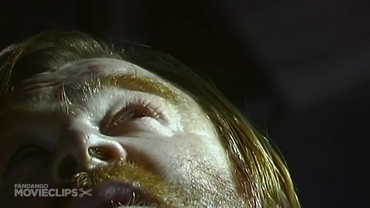 28 days later edit - Coub