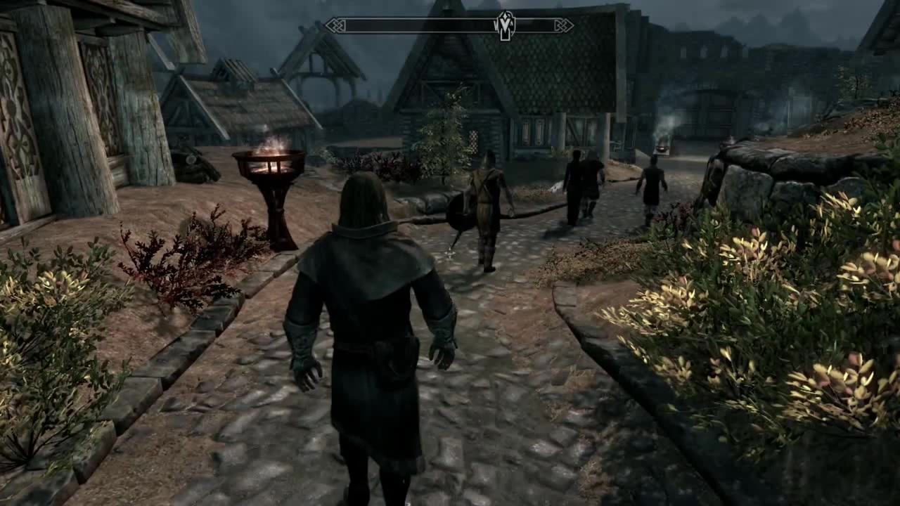 The Curse Of Skyrim - Coub