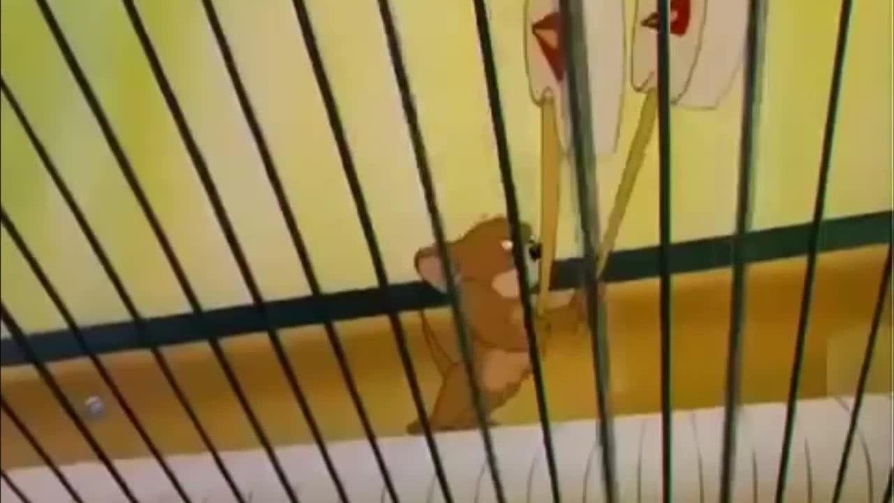 tom and jerry - Coub