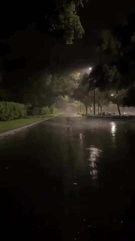 Windy, Rainy Night - Coub