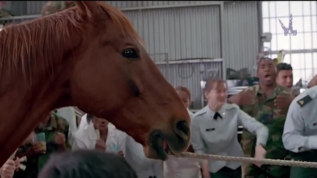 Jack vs. Horse - Coub