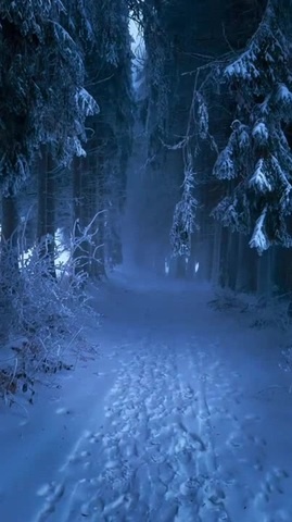 winter is coming 🥶 - Coub