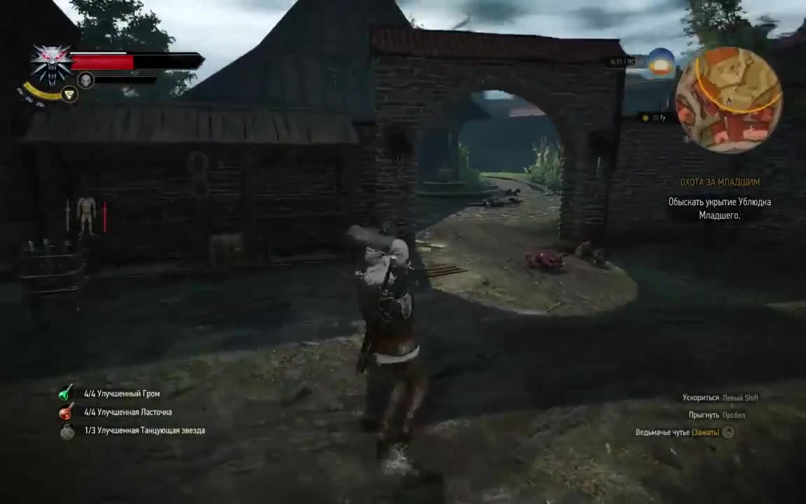 Witcher Ignis - Coub