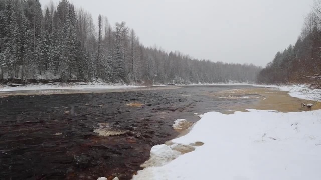 Winter is gone - Coub