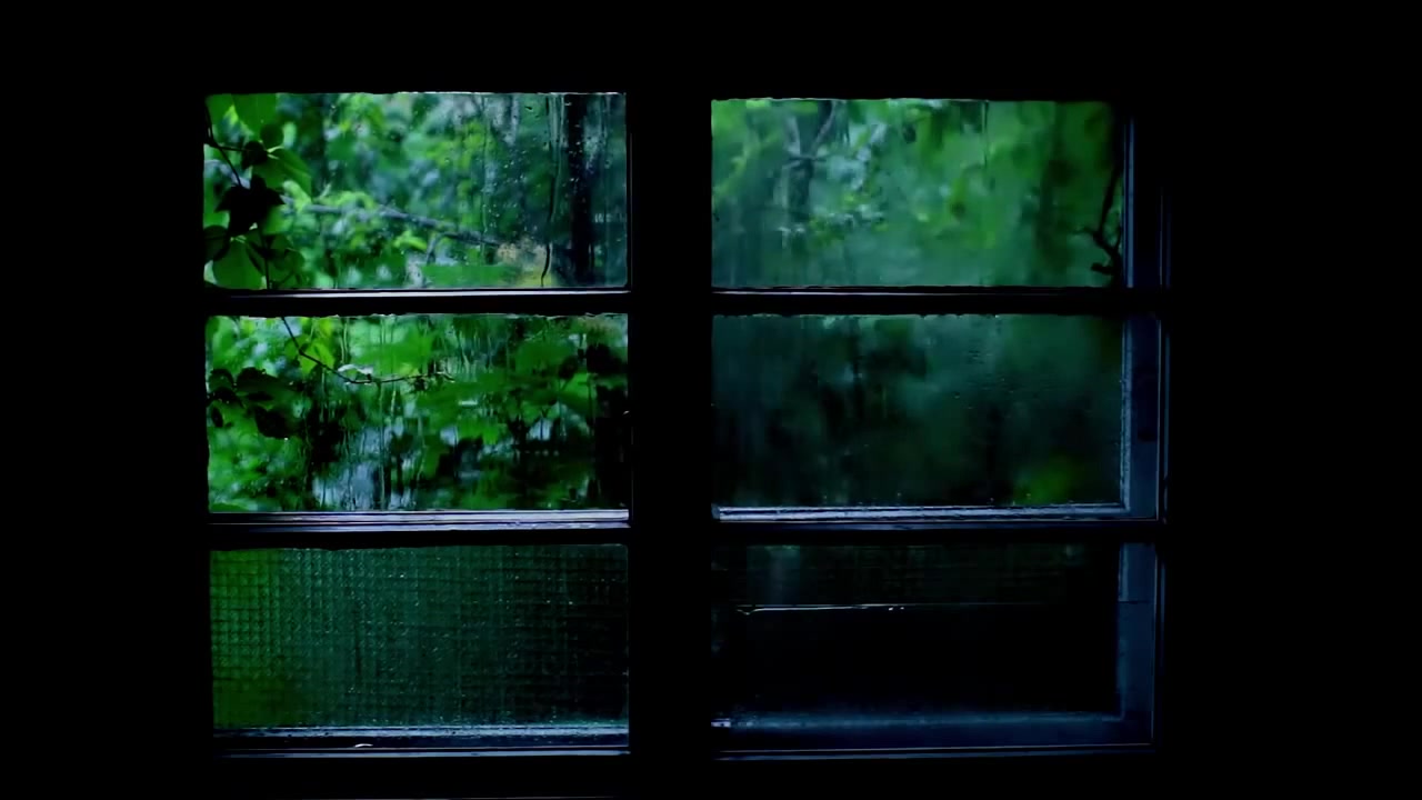 rain introvert - Coub