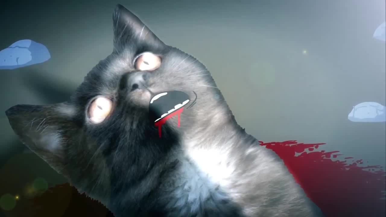 Shorts - CATS - Coub