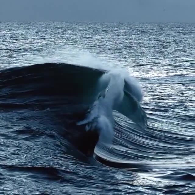 Simply Mesmerizing 😍😍 - Coub