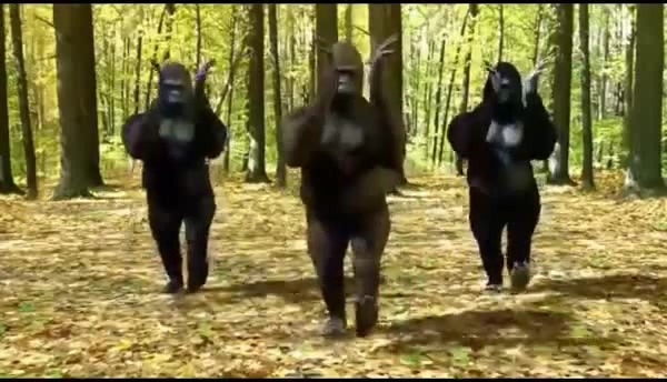 Harambe Dance Video - Coub