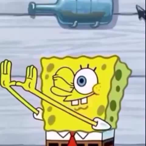 FLAPPIN FLOTSAM WHATS THAT - Coub