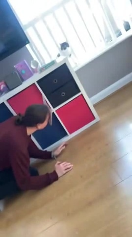 How to traumatize your cat - Coub