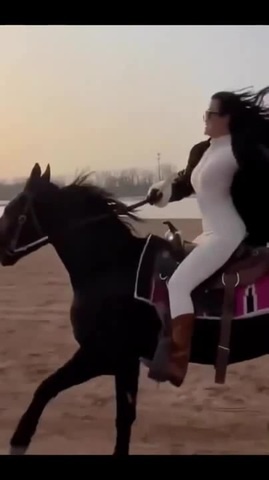 Best horse rider ever - Coub