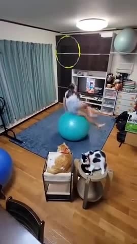 Impressive skill - Coub