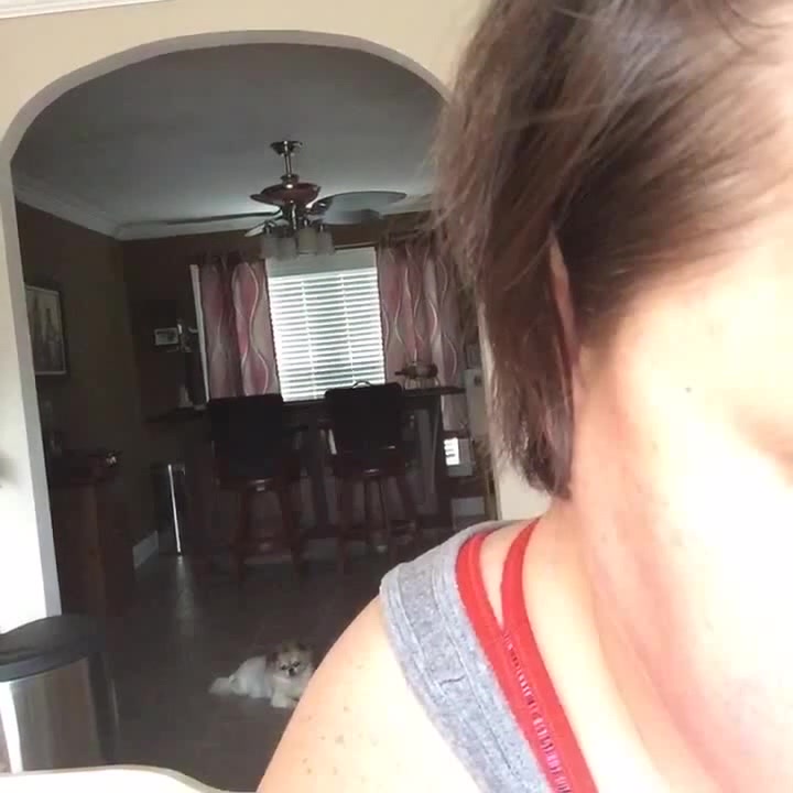 I was told yesterday that construction will go until July 2017. - Coub