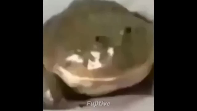 Shitpost status V56 - Coub