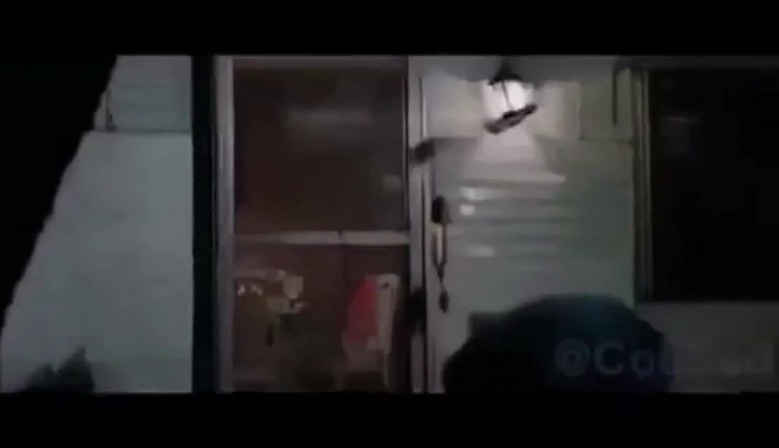 Snap Back To Reality - Coub