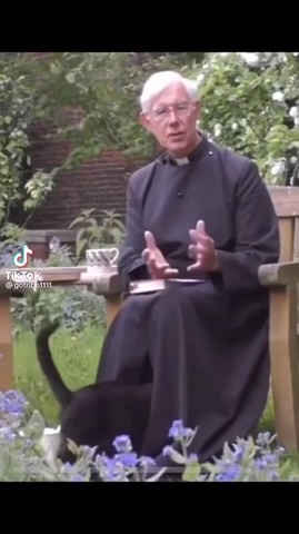 CATholic Rave - Coub