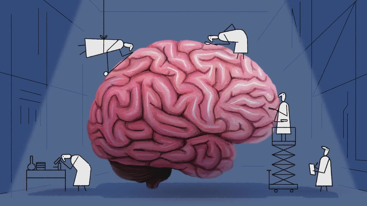 The Brainwashers - Coub