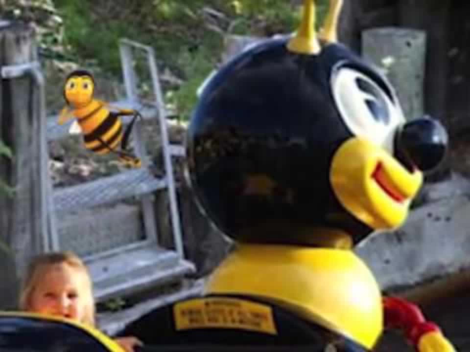FUCK BEES - Coub
