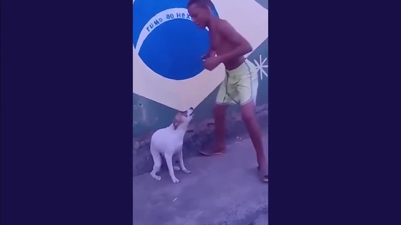 Pumped up DOGGO - Coub